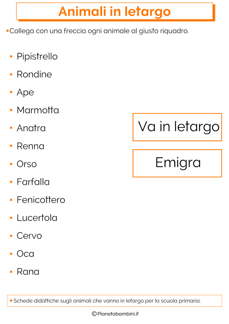 Animali in Letargo: Schede Didattiche per la Scuola Primaria ...