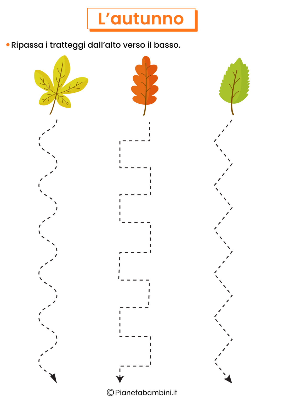 Schede Didattiche sull'Autunno per la Scuola dell'Infanzia ...