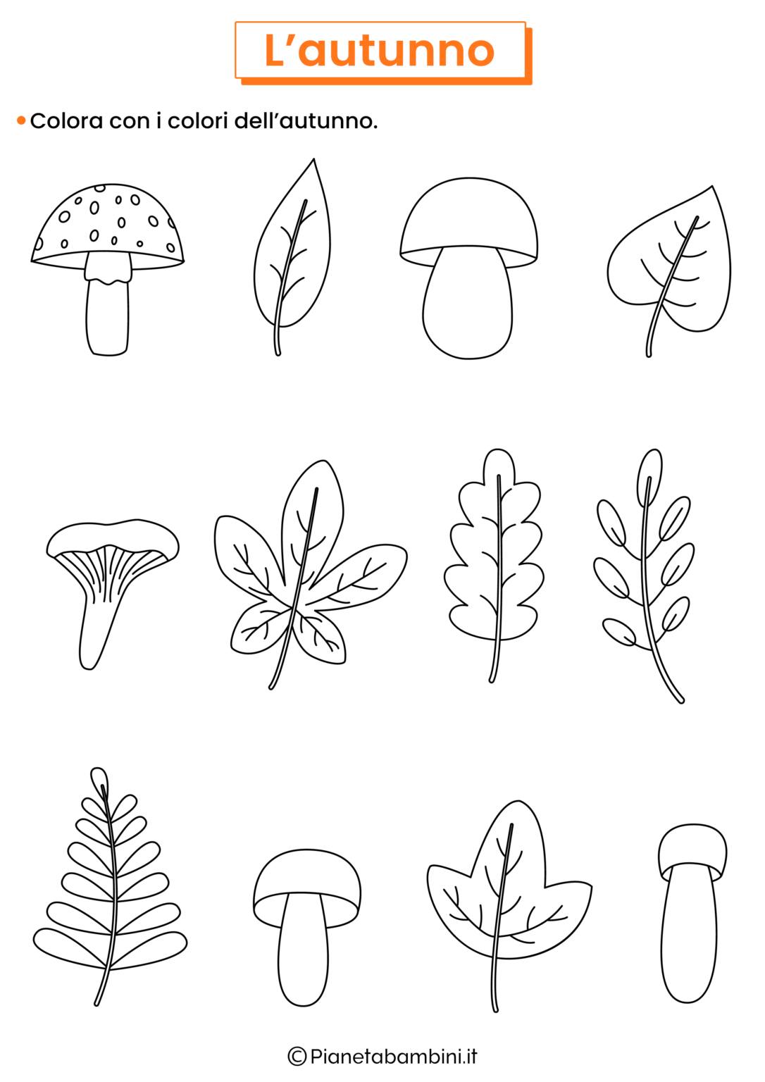 Schede Didattiche sull'Autunno per la Scuola dell'Infanzia ...