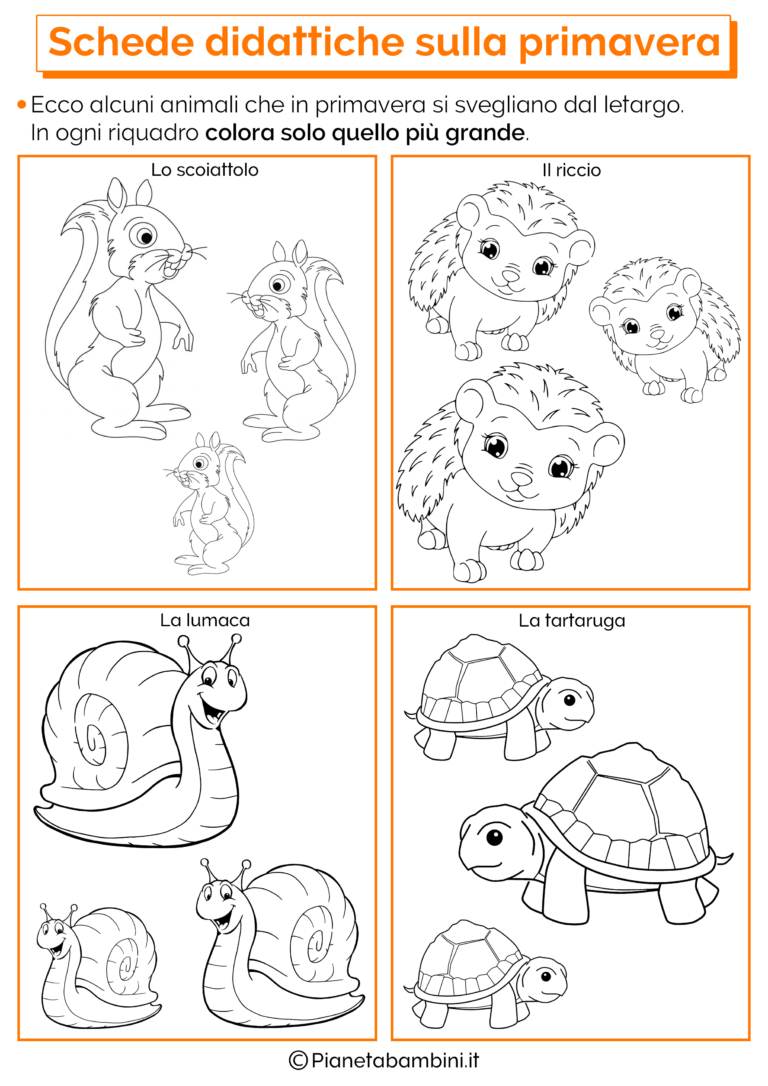 Schede sulla Primavera per la Scuola dell'Infanzia | PianetaBambini.it