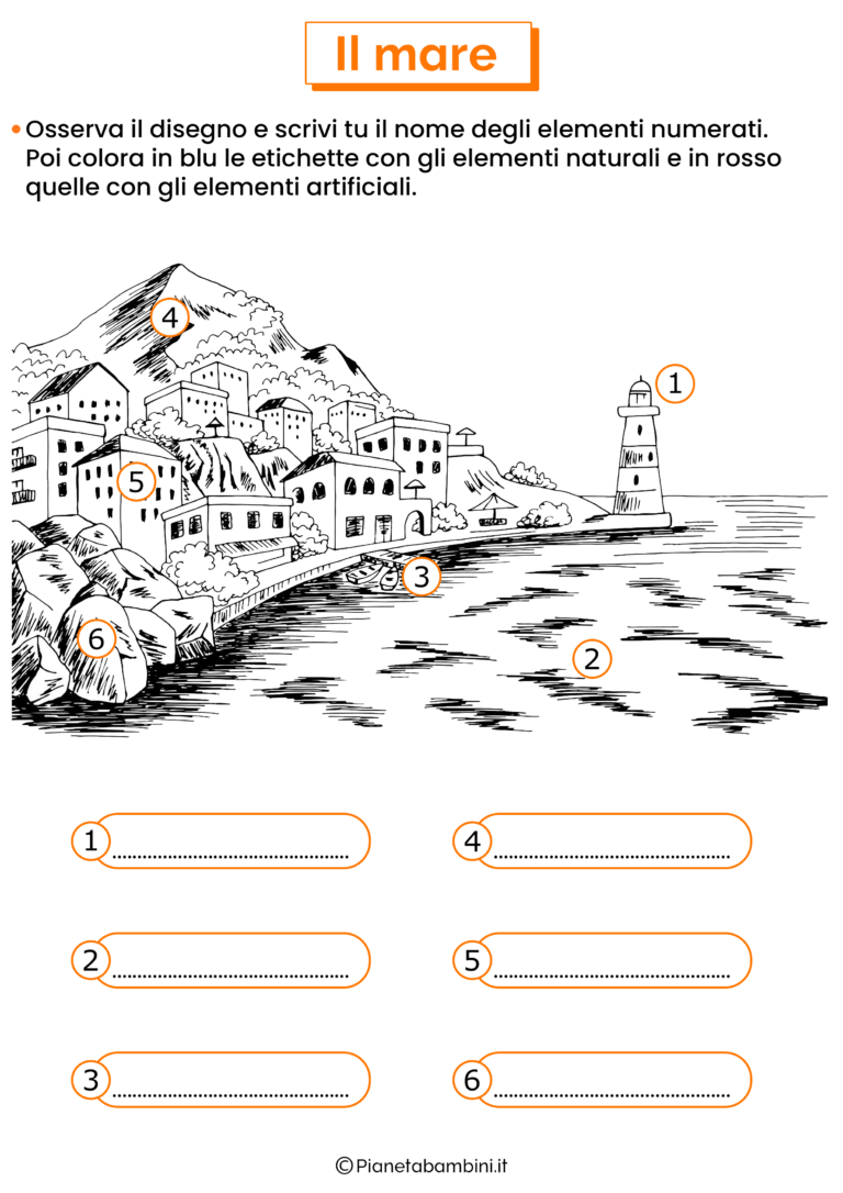 Il Mare: Schede Didattiche per la Scuola Primaria | PianetaBambini.it