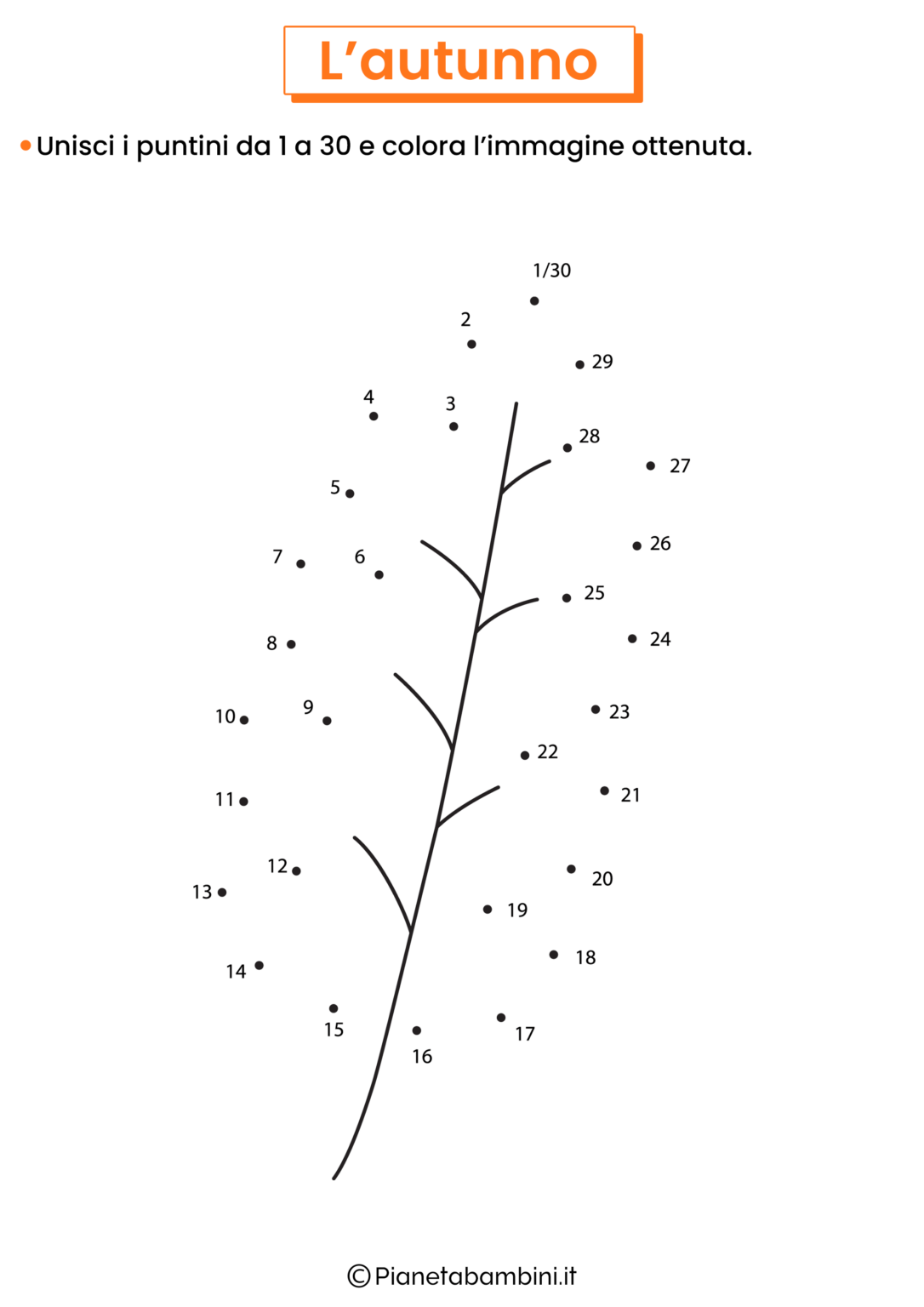 Schede Didattiche sull'Autunno per la Scuola Primaria | PianetaBambini.it