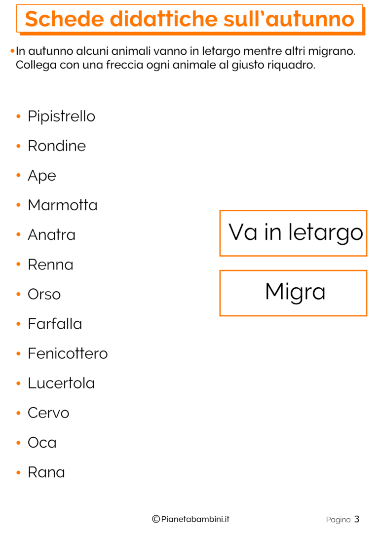 Schede Didattiche sull'Autunno per la Scuola Primaria | PianetaBambini.it