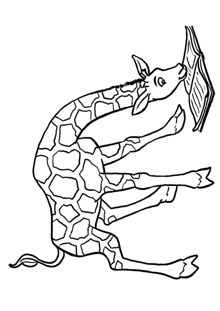 30 Disegni di Giraffe da Colorare | PianetaBambini.it