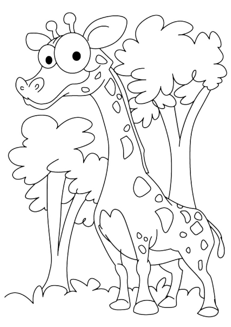 30 Disegni di Giraffe da Colorare | PianetaBambini.it