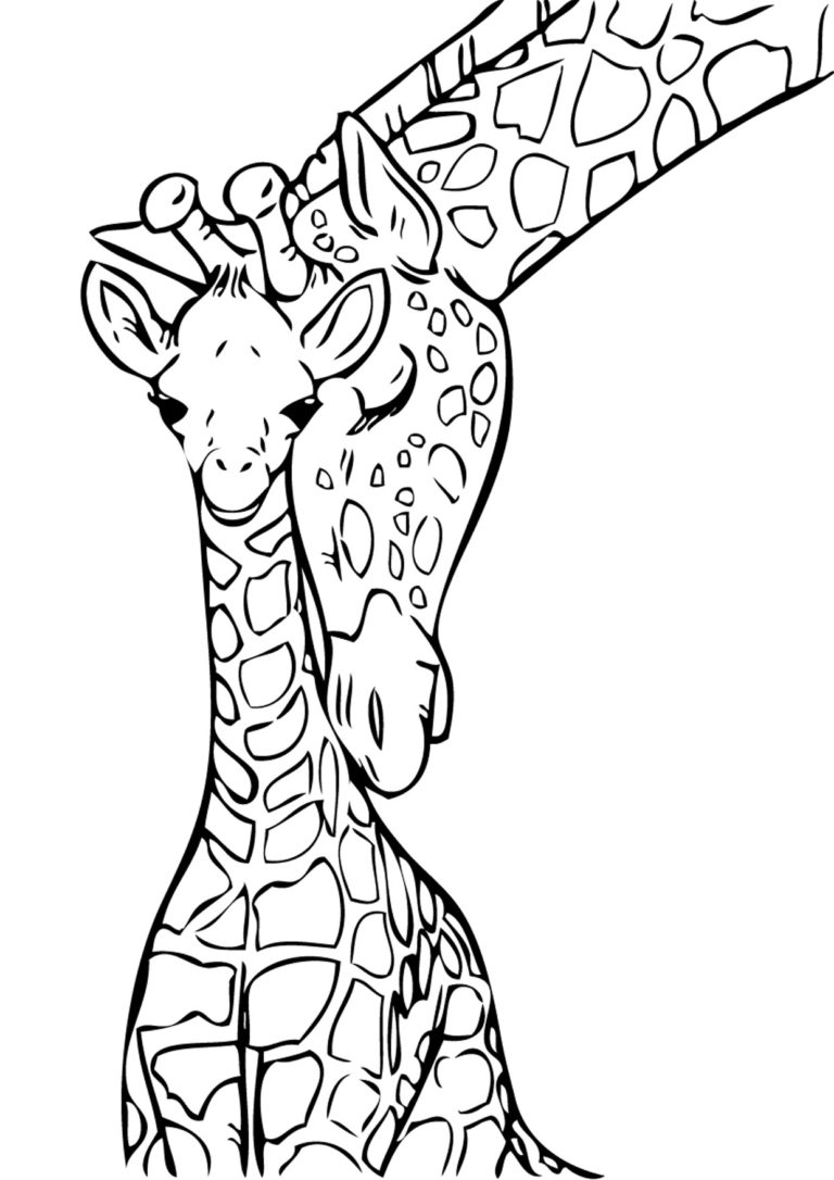 30 Disegni di Giraffe da Colorare | PianetaBambini.it