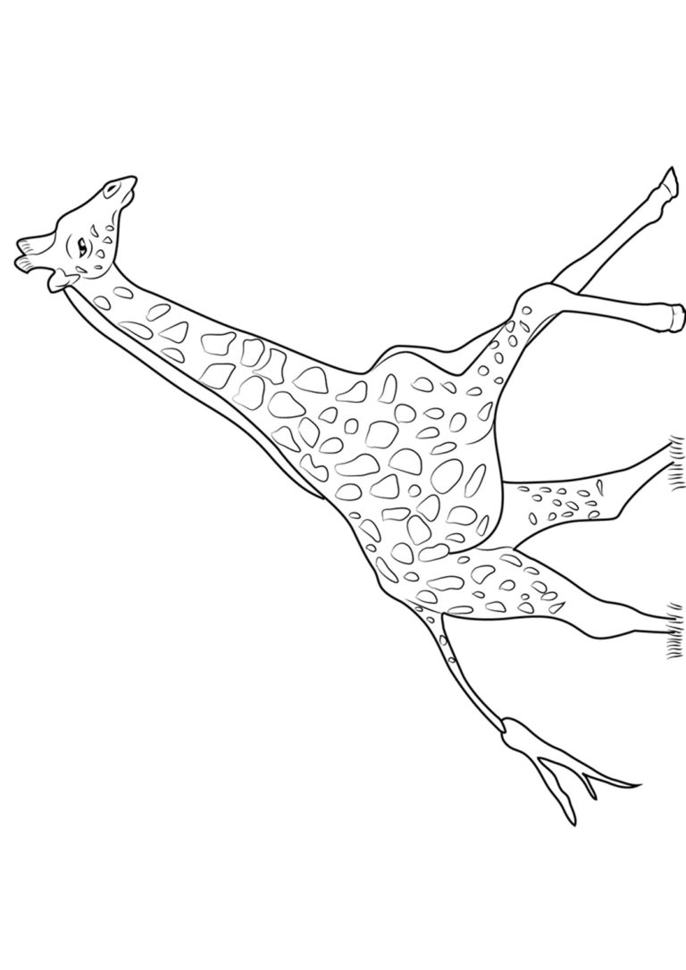 30 Disegni di Giraffe da Colorare | PianetaBambini.it