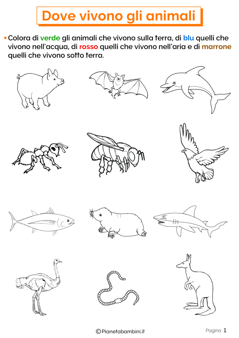 Dove Vivono gli Animali: Schede Didattiche per la Scuola Primaria ...