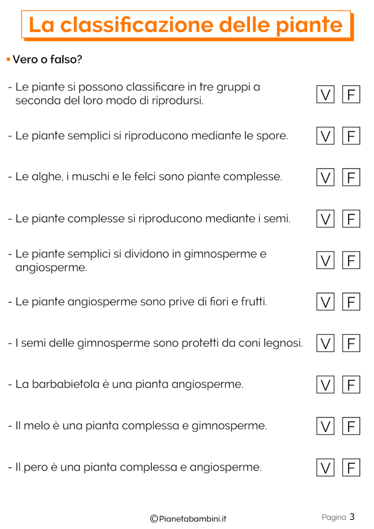 La Classificazione delle Piante: Schede Didattiche per la Scuola ...