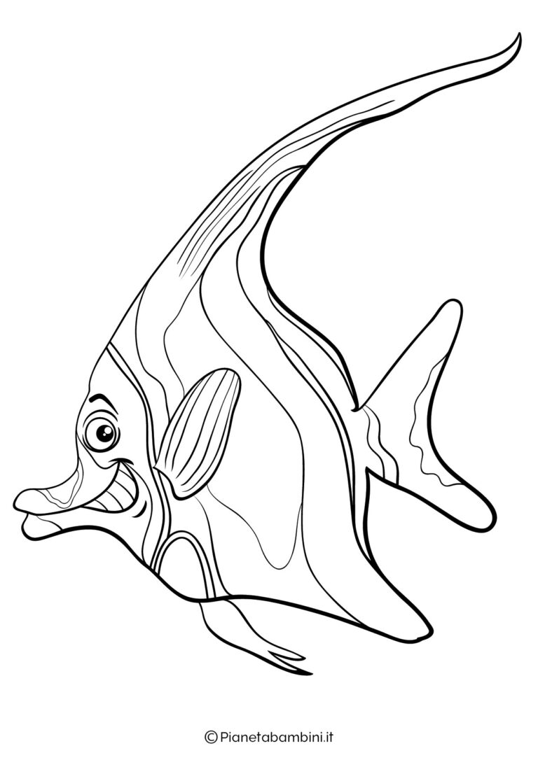 Animali Colorare Marini Pianetabambini Sketch Coloring Page
