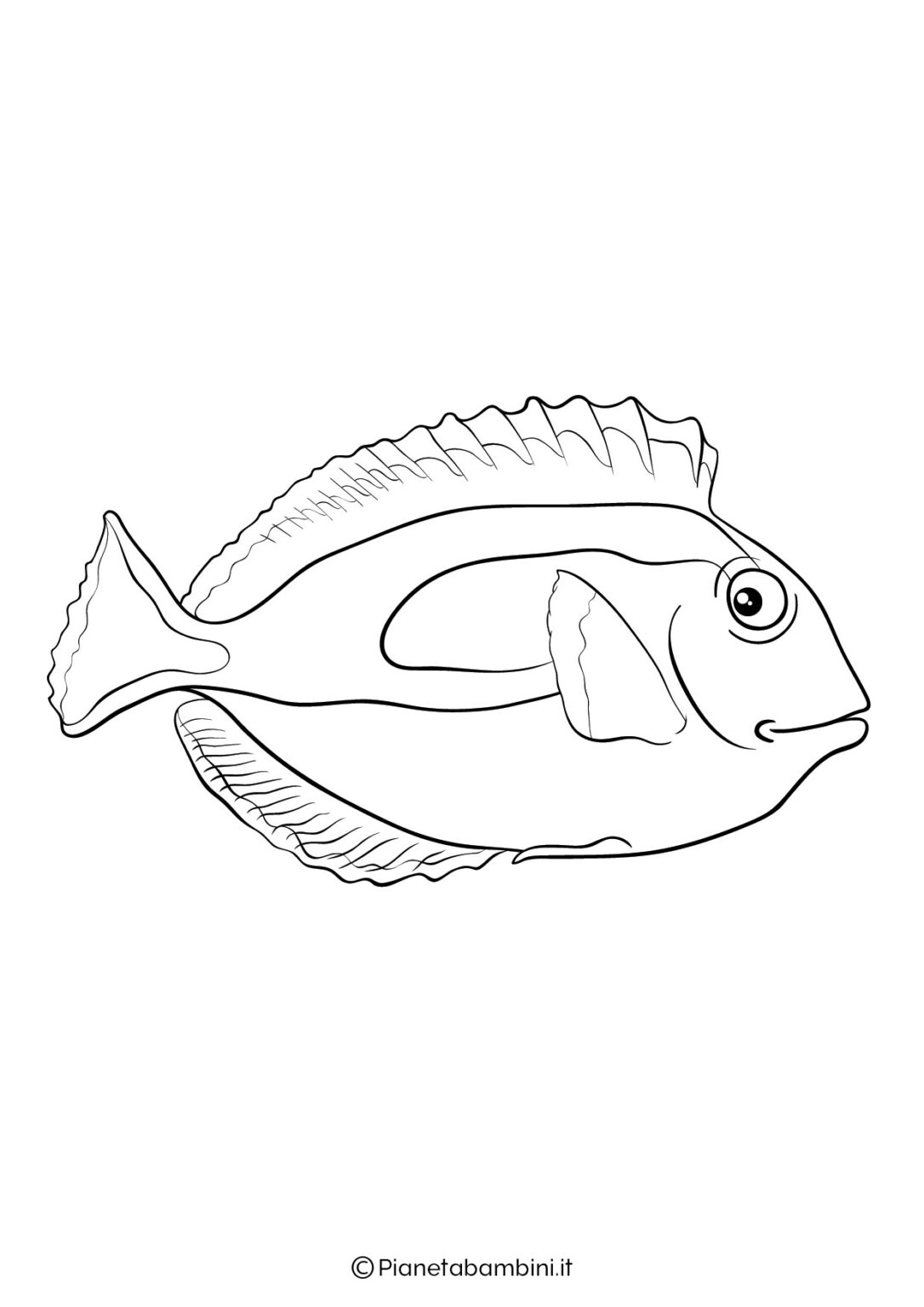 60 Disegni di Animali Marini da Colorare | PianetaBambini.it