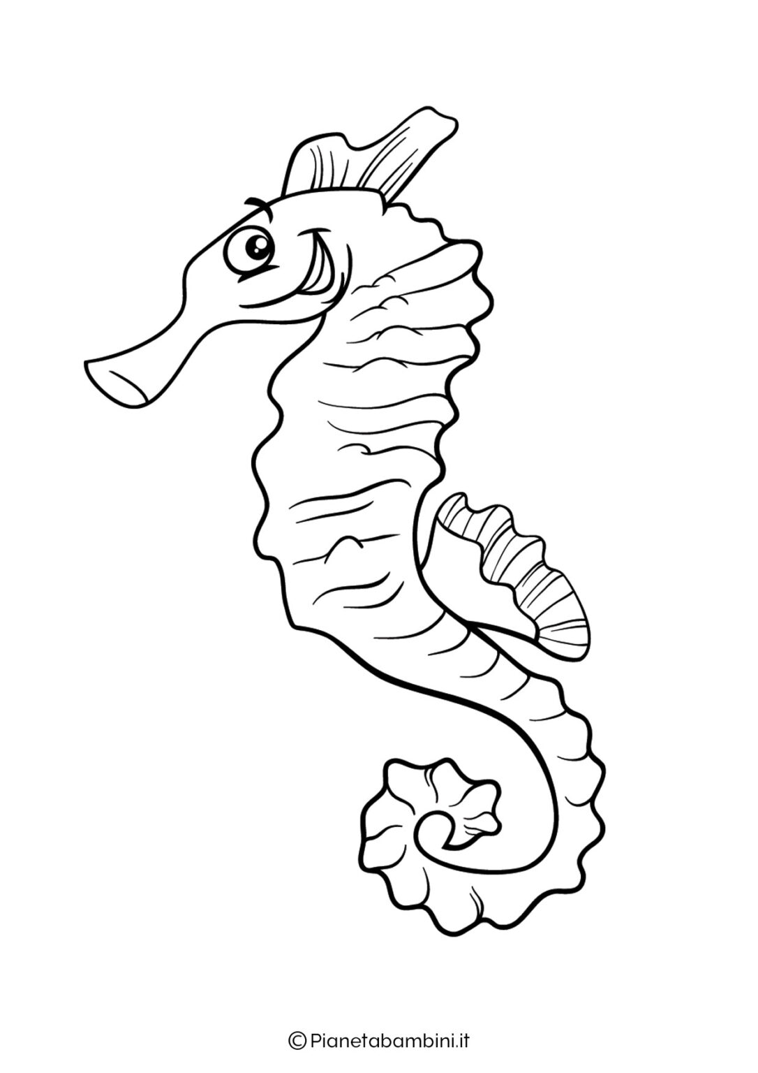 Animali Colorare Marini Pianetabambini Sketch Coloring Page