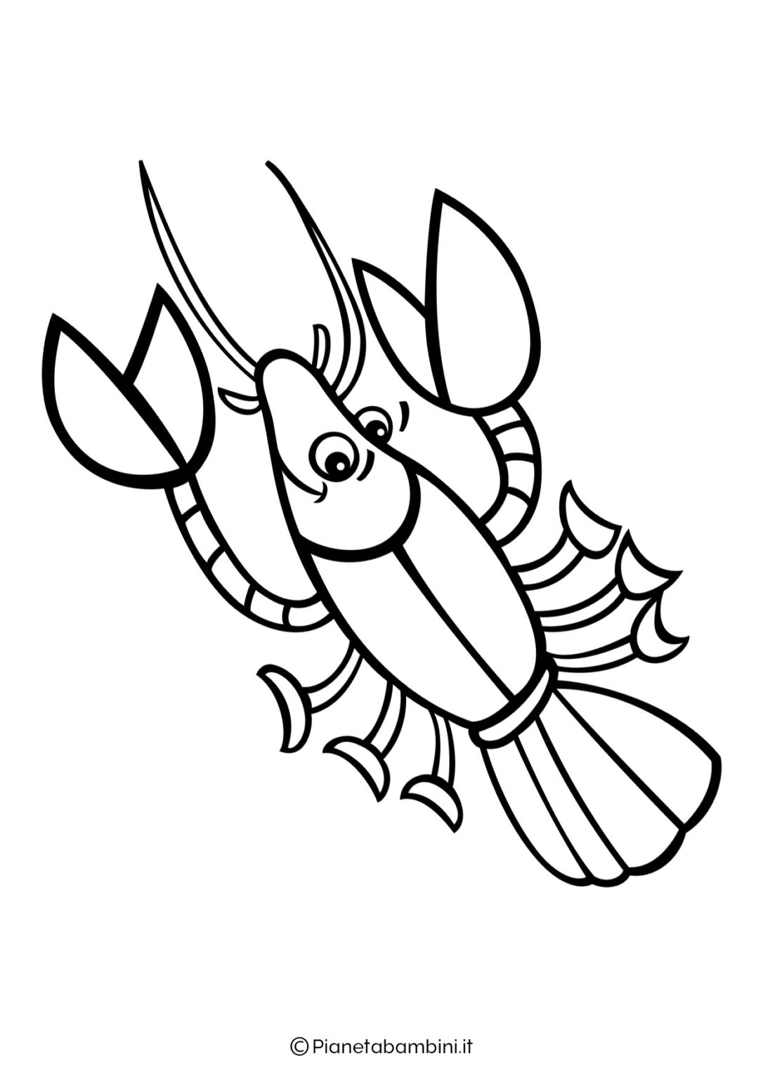 Animali Colorare Marini Pianetabambini Sketch Coloring Page