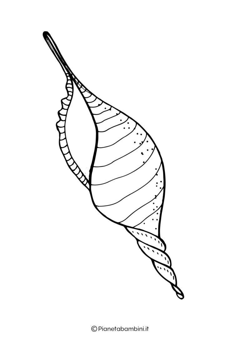 36 Disegni di Conchiglie da Colorare | PianetaBambini.it