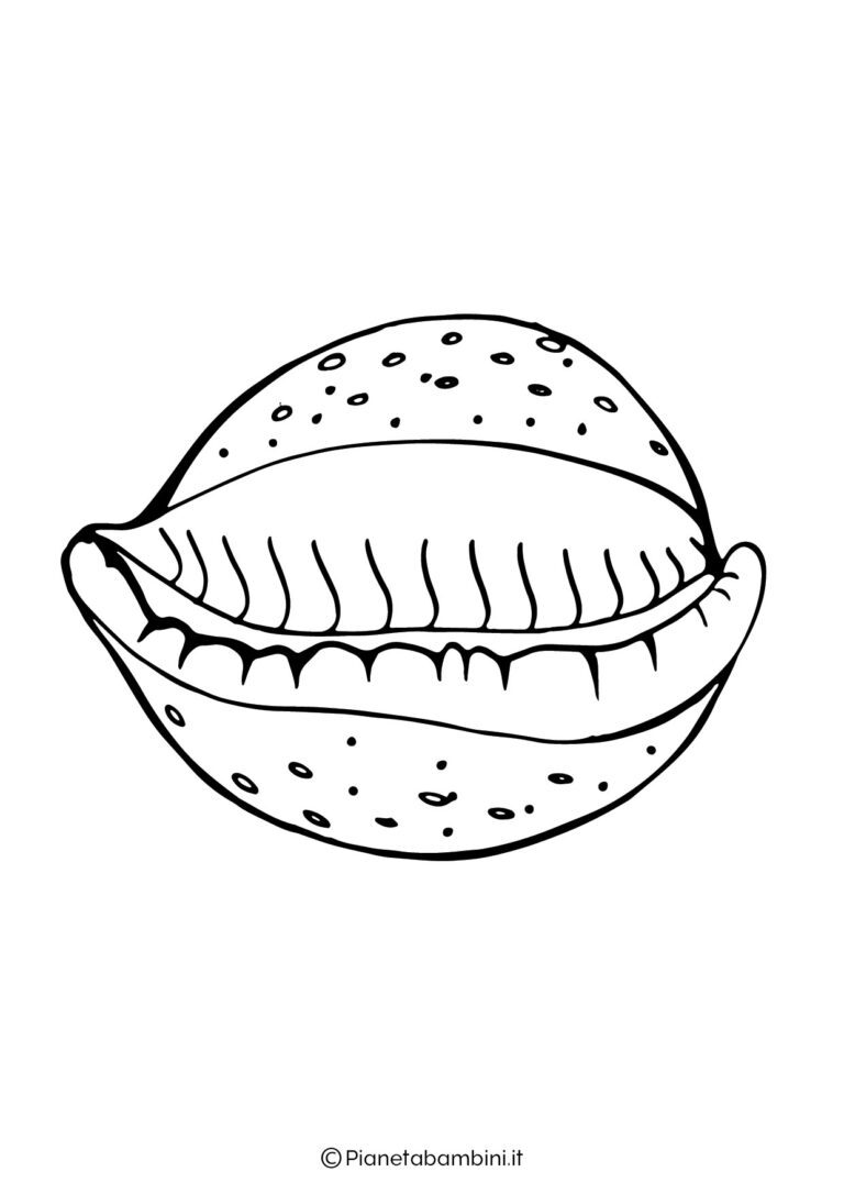 36 Disegni di Conchiglie da Colorare | PianetaBambini.it