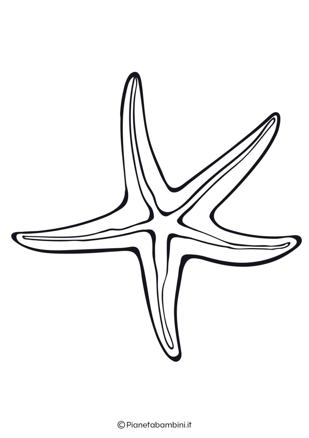 36 Disegni di Conchiglie da Colorare | PianetaBambini.it