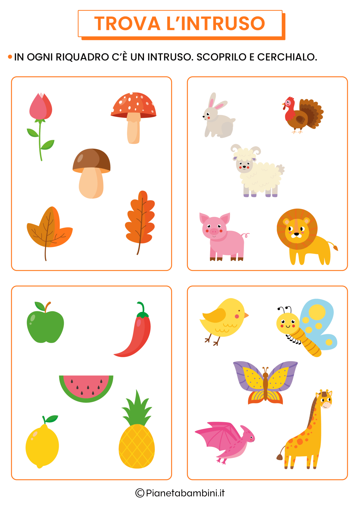 Trova l'Intruso: 57 Schede Didattiche per Bambini | PianetaBambini.it