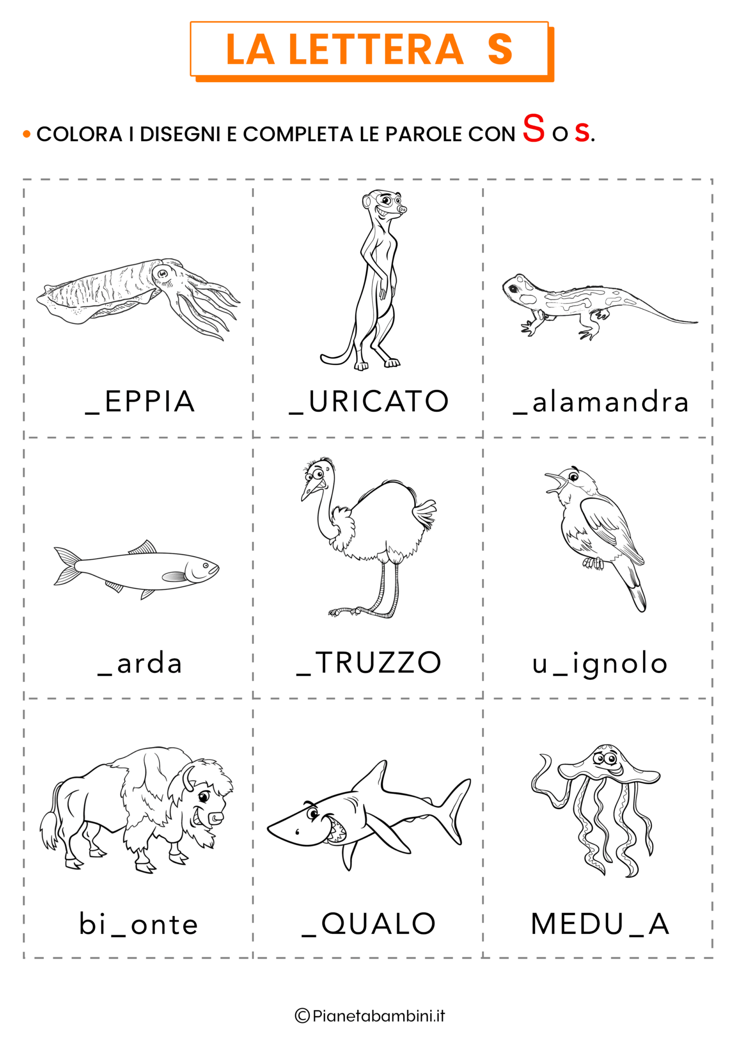 Schede sulla Lettera S per la Classe Prima | PianetaBambini.it