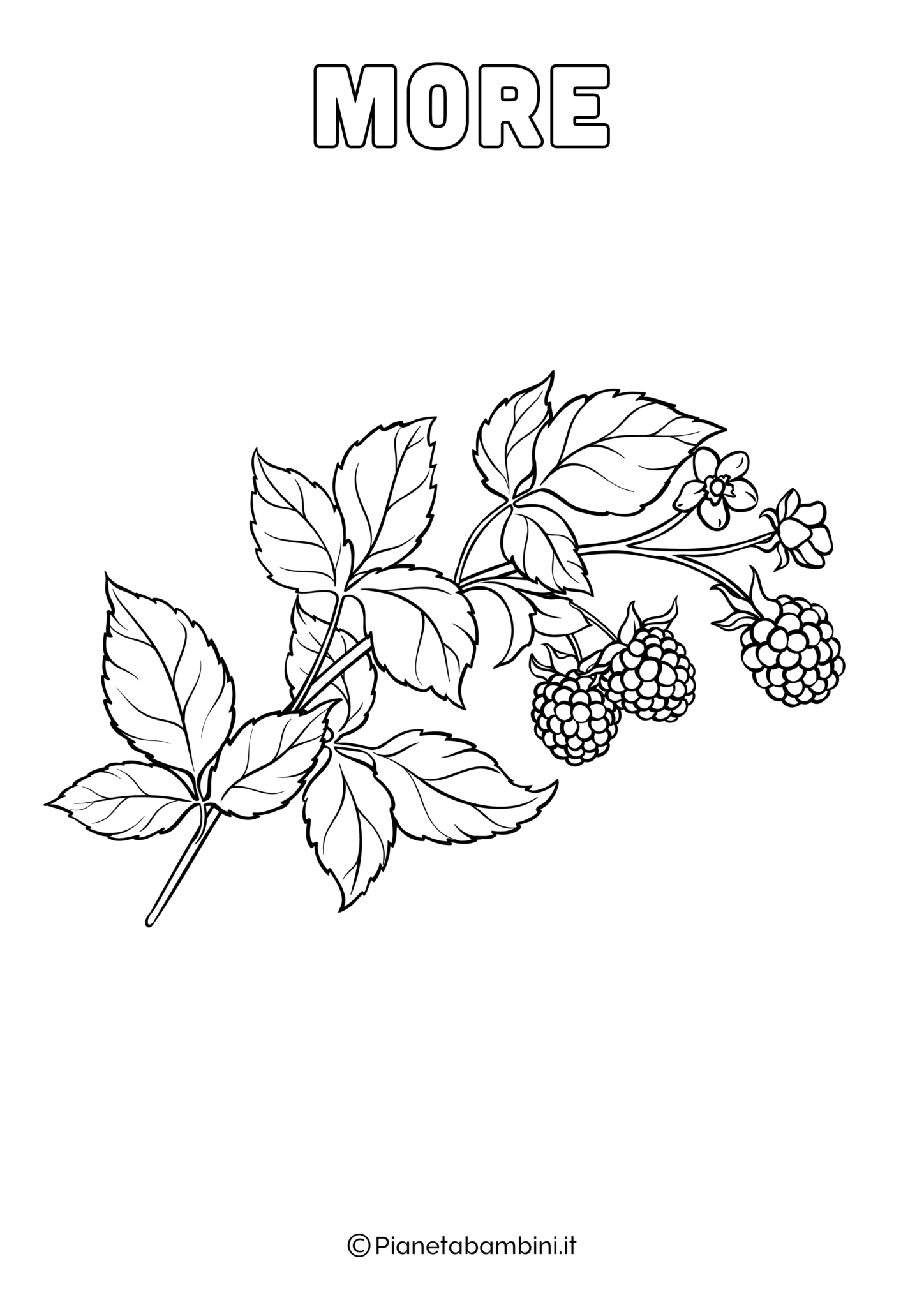 Disegni di Frutta Primaverile da Colorare | PianetaBambini.it