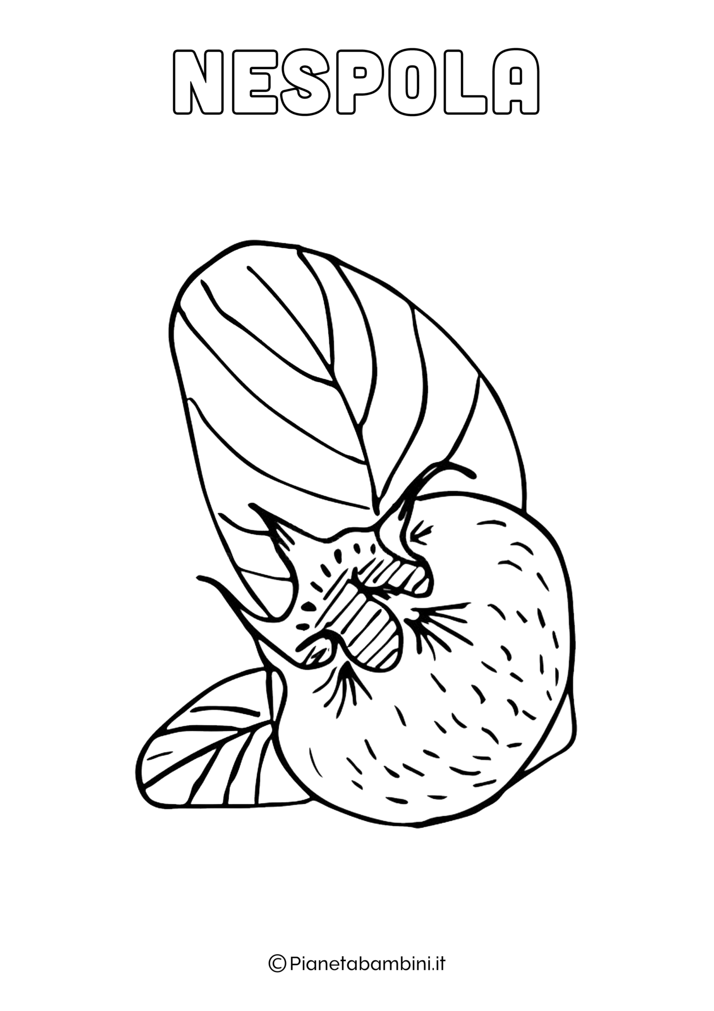 Disegni di Frutta Primaverile da Colorare | PianetaBambini.it