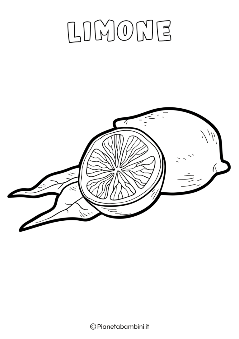 Disegni di Frutta Invernale da Colorare | PianetaBambini.it