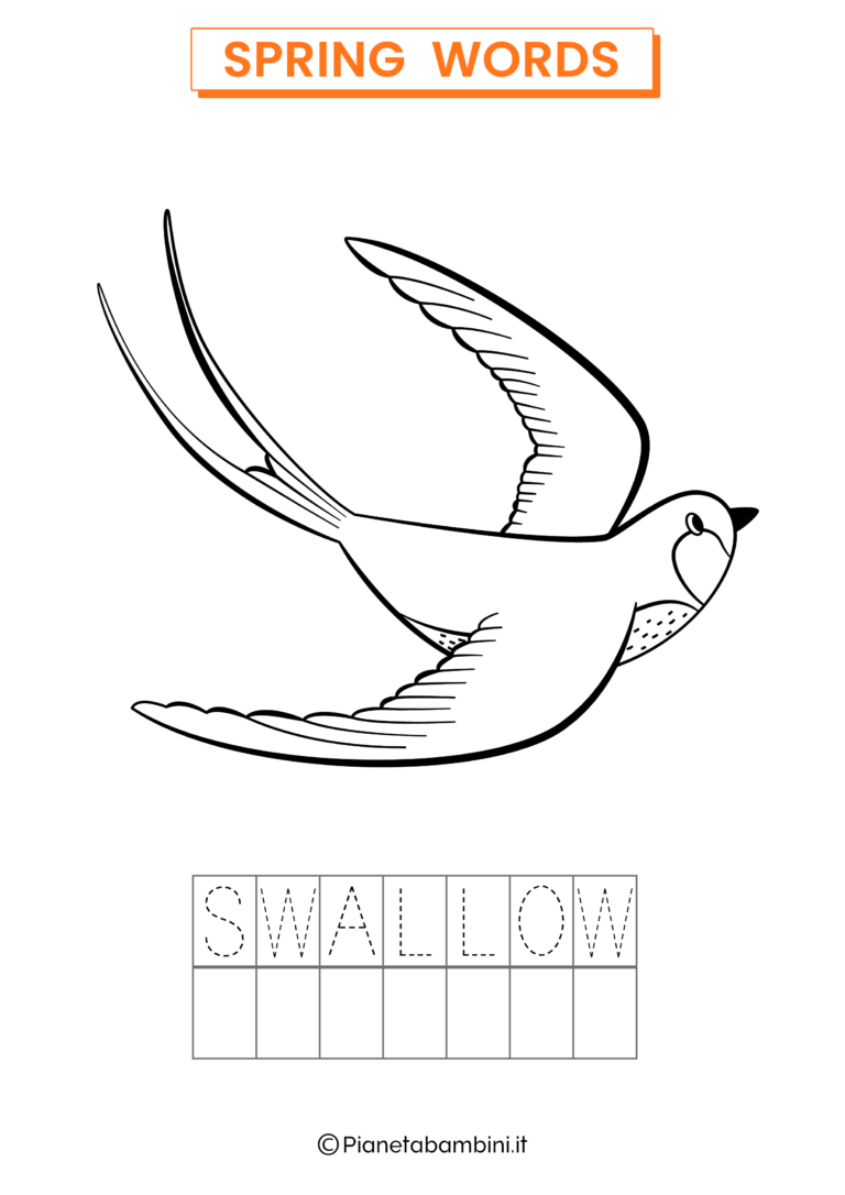 Schede sulle Parole della Primavera in Inglese (Spring Words ...