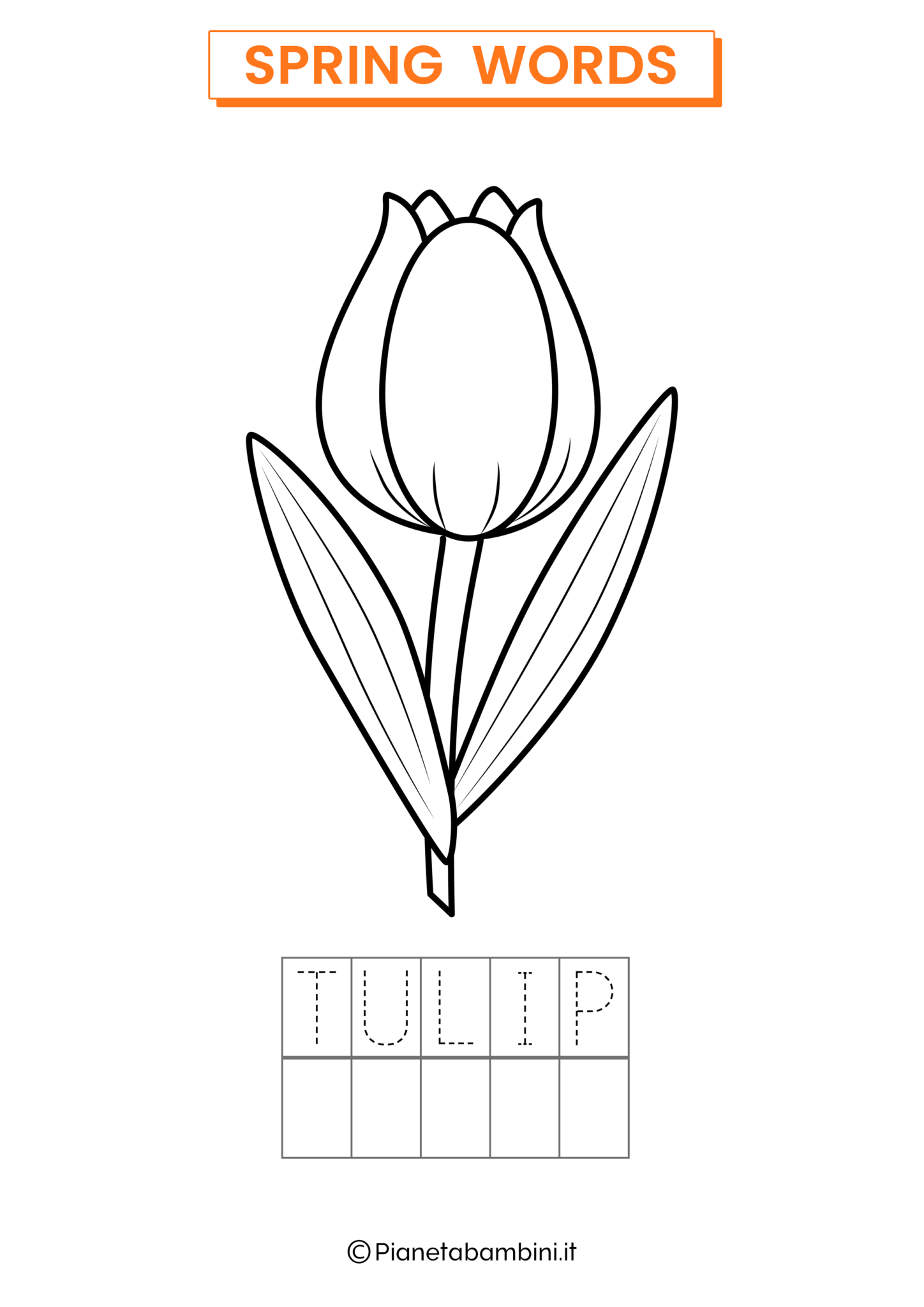 Schede sulle Parole della Primavera in Inglese (Spring Words ...