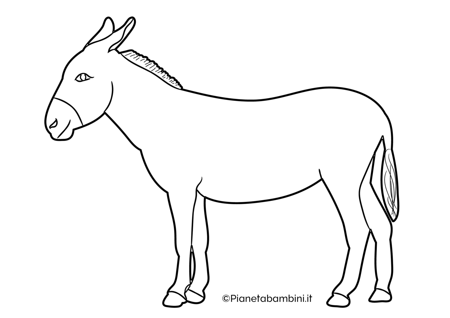 Sagome di Asini da Stampare e Ritagliare | PianetaBambini.it
