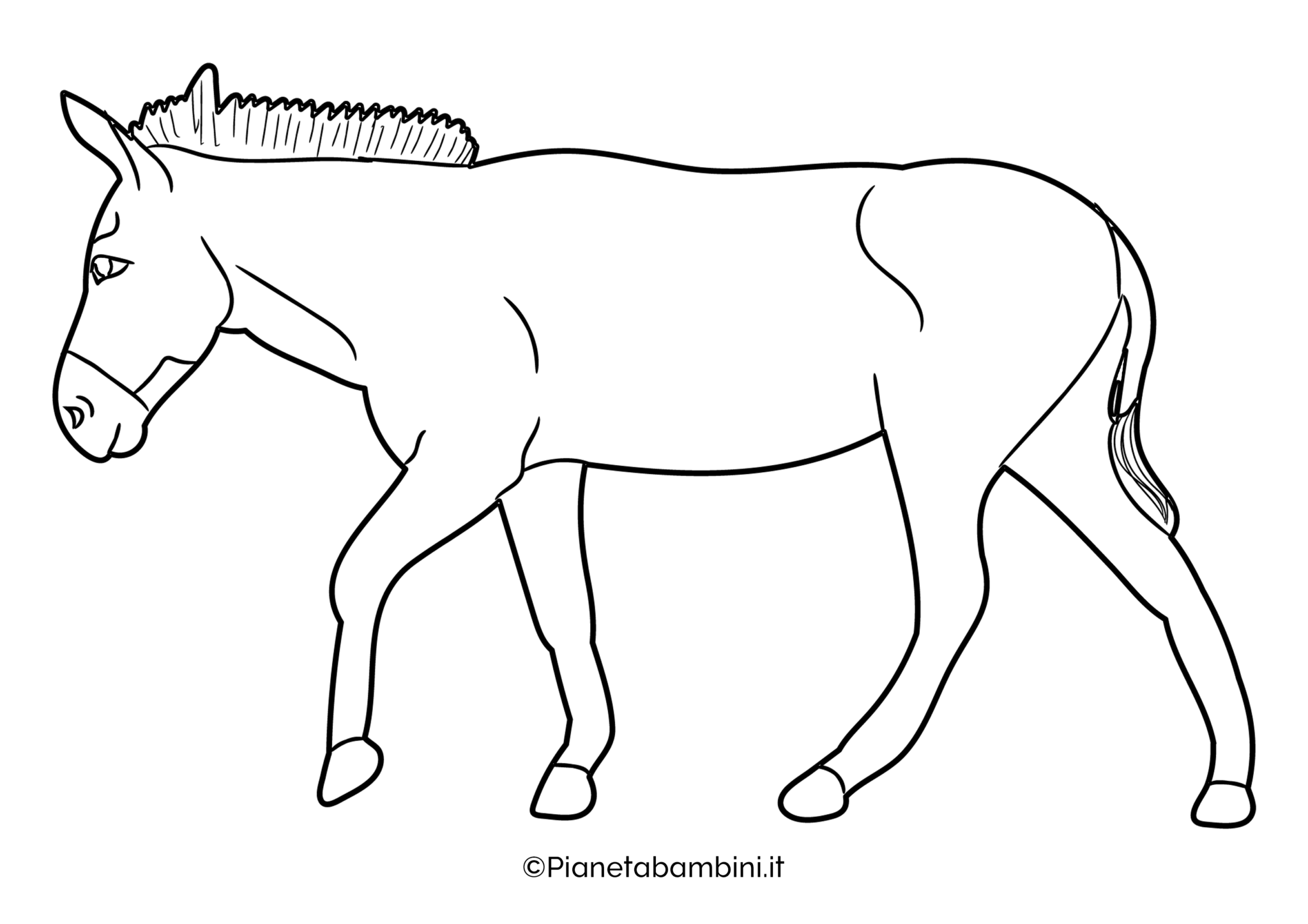 Sagome di Asini da Stampare e Ritagliare | PianetaBambini.it