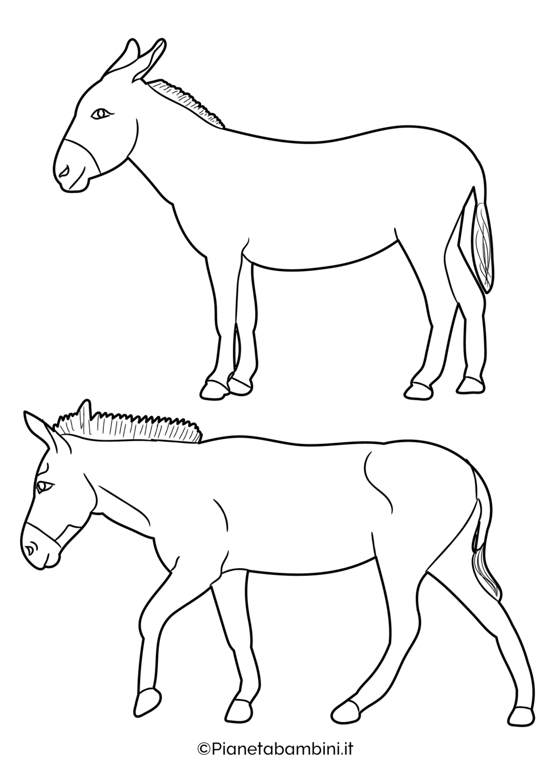 Sagome di Asini da Stampare e Ritagliare | PianetaBambini.it