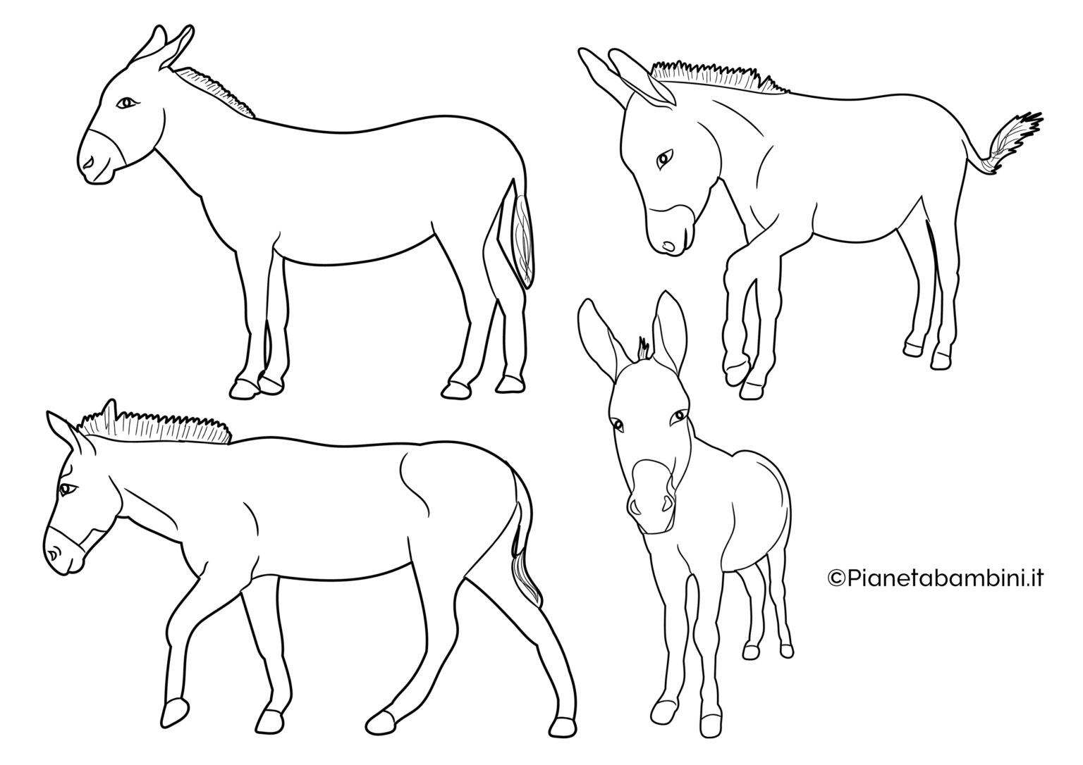Sagome di Asini da Stampare e Ritagliare | PianetaBambini.it