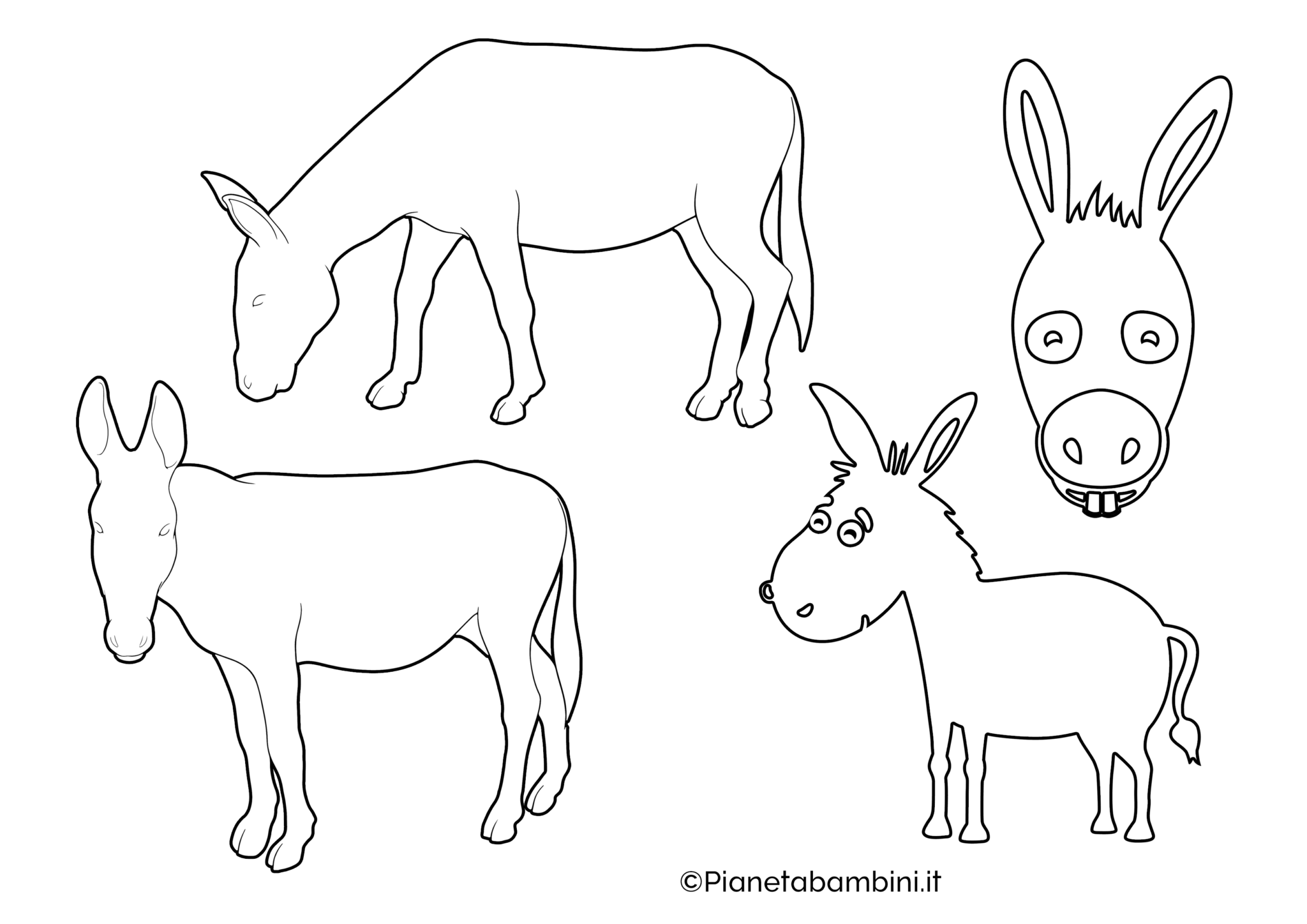 Sagome di Asini da Stampare e Ritagliare | PianetaBambini.it
