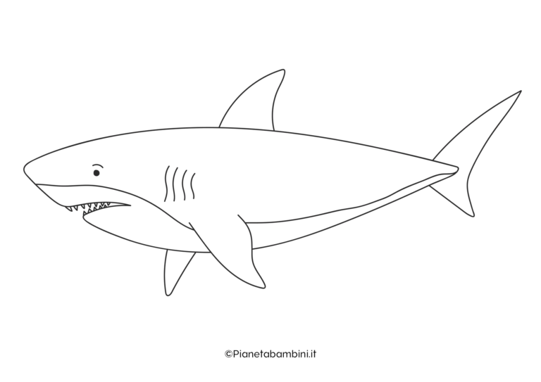 60 Disegni di Animali Marini da Colorare | PianetaBambini.it