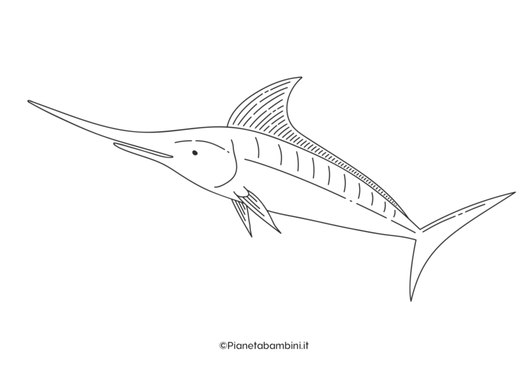 60 Disegni di Animali Marini da Colorare | PianetaBambini.it