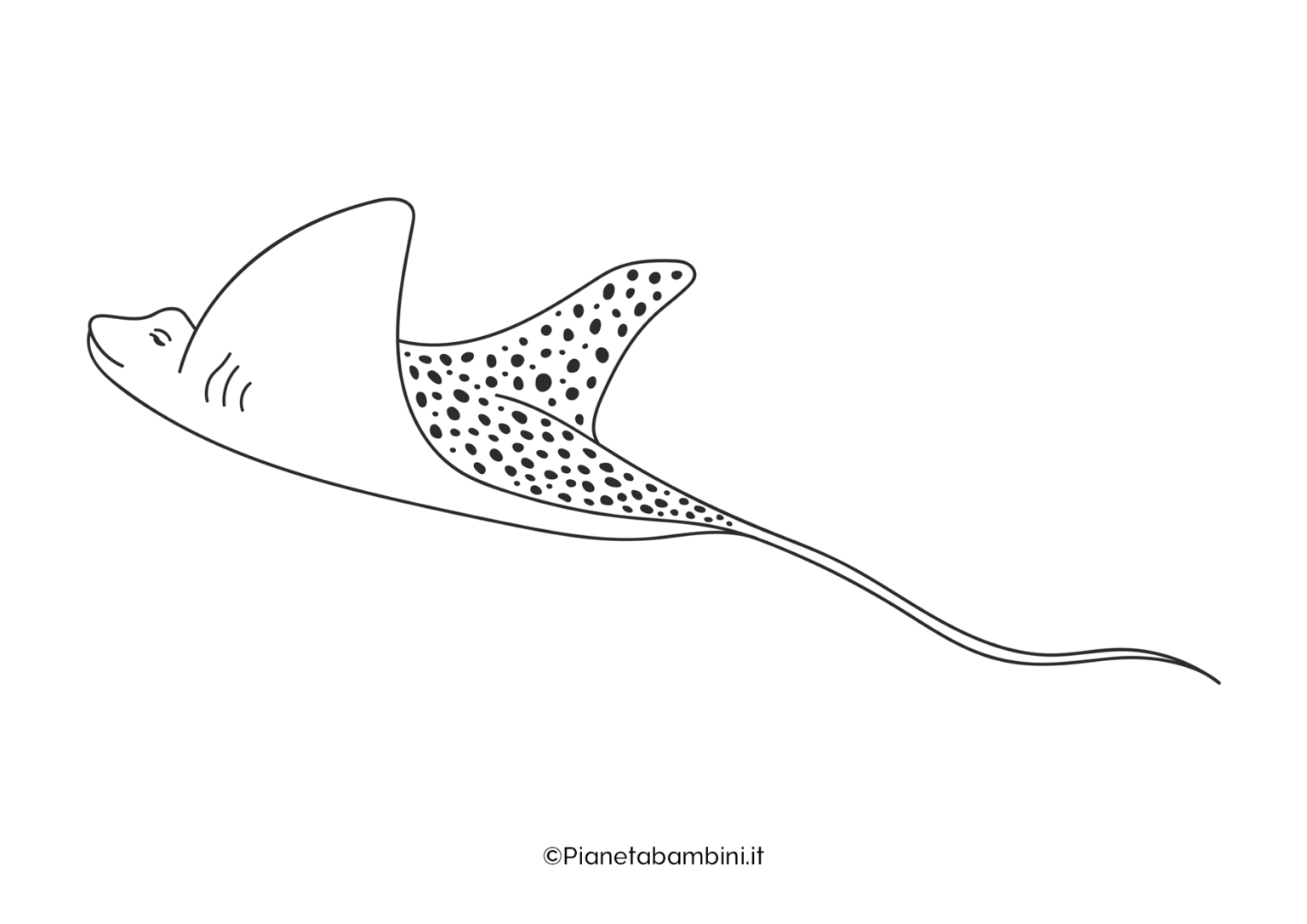 60 Disegni di Animali Marini da Colorare | PianetaBambini.it