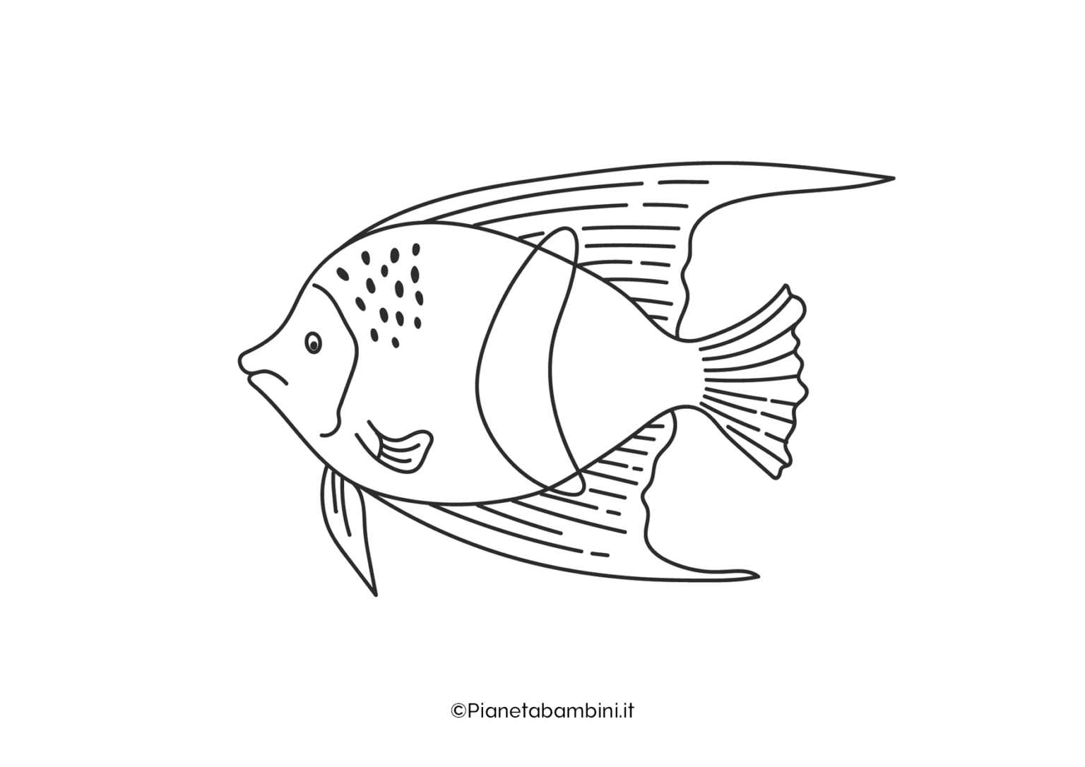 60 Disegni di Animali Marini da Colorare | PianetaBambini.it