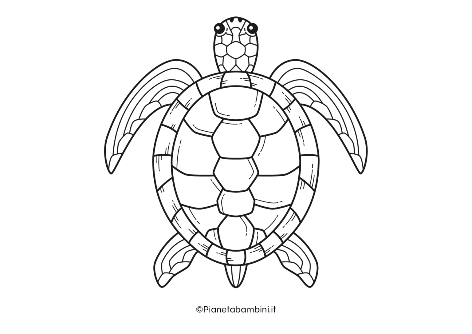 60 Disegni di Animali Marini da Colorare | PianetaBambini.it