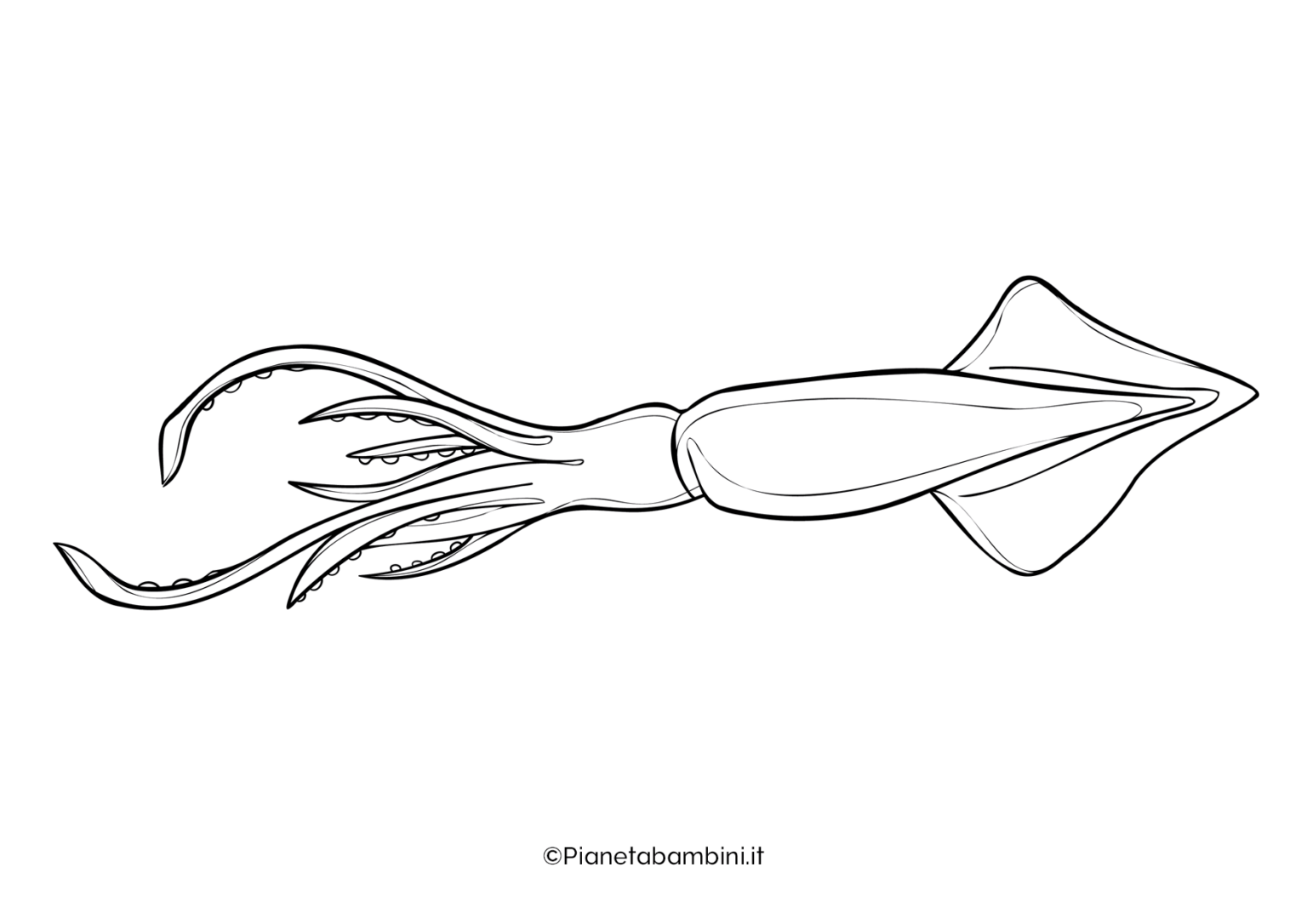 60 Disegni di Animali Marini da Colorare | PianetaBambini.it