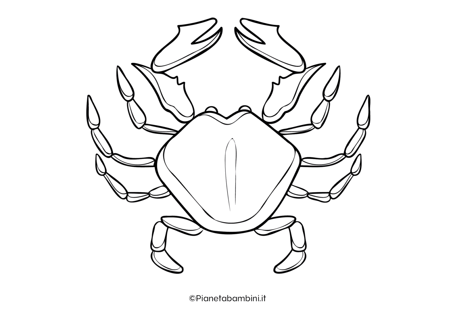 60 Disegni di Animali Marini da Colorare | PianetaBambini.it