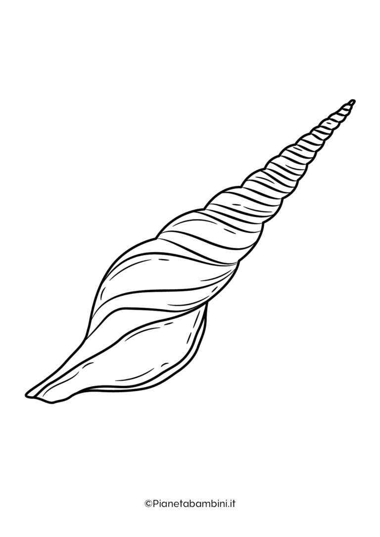 36 Disegni di Conchiglie da Colorare | PianetaBambini.it