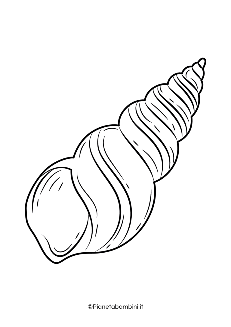 36 Disegni di Conchiglie da Colorare | PianetaBambini.it