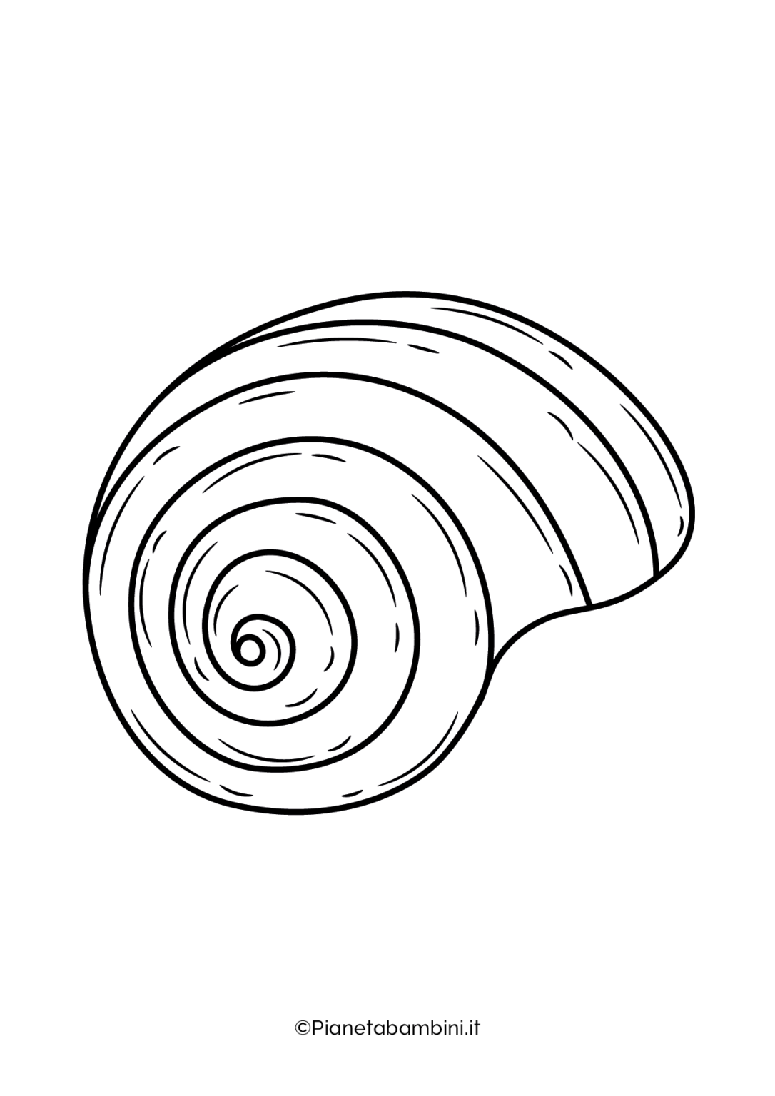 36 Disegni di Conchiglie da Colorare | PianetaBambini.it