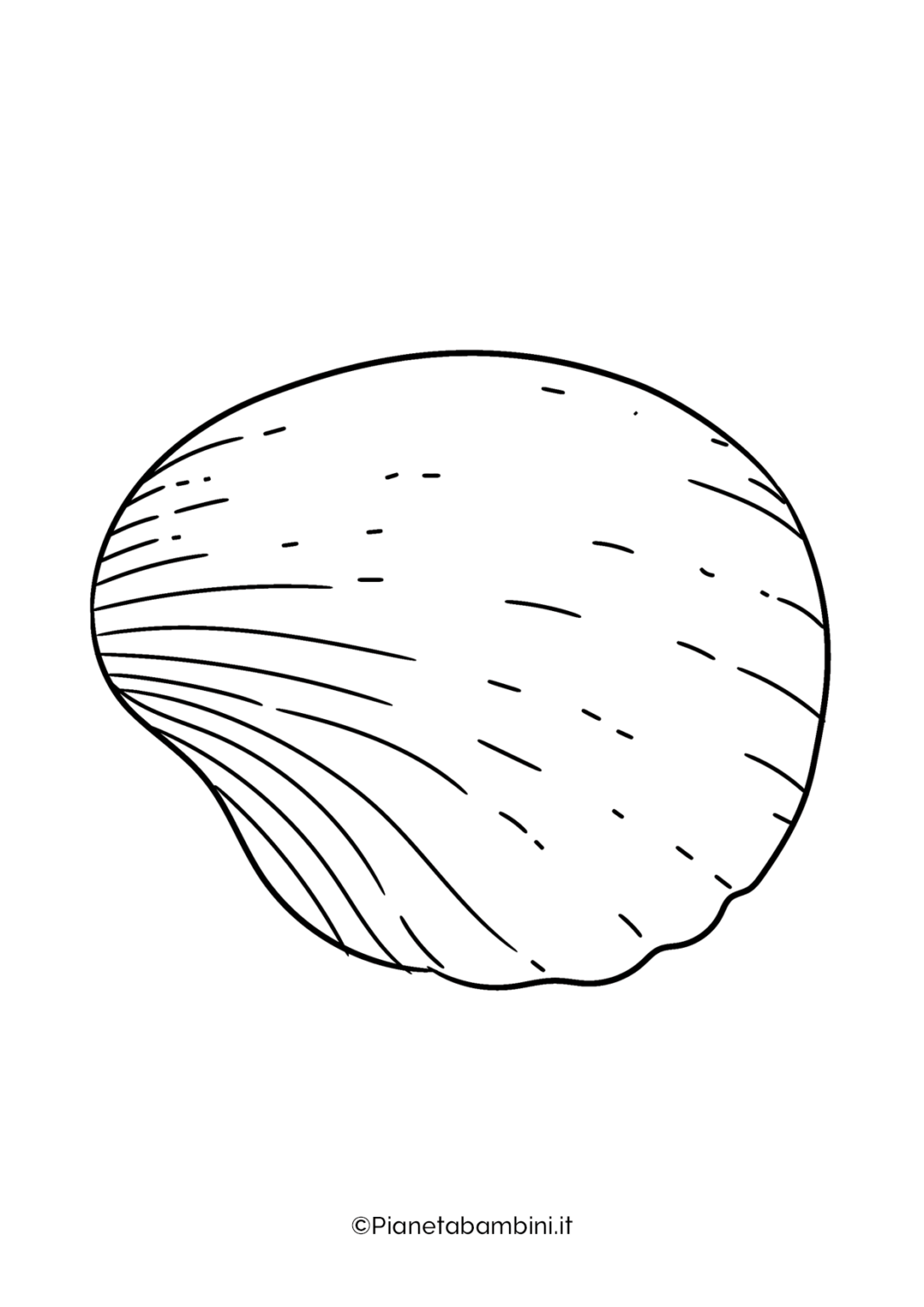 36 Disegni di Conchiglie da Colorare | PianetaBambini.it