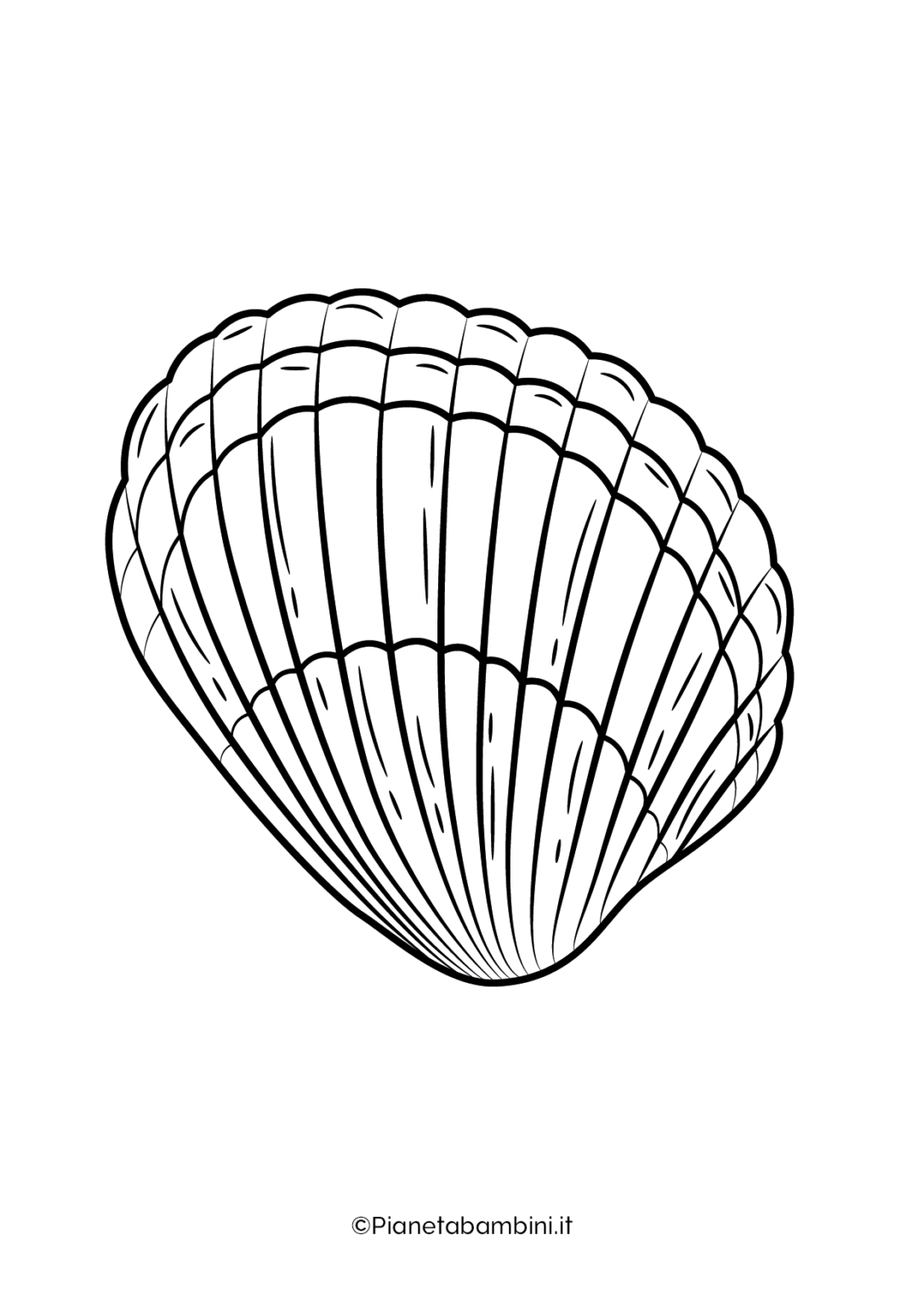 36 Disegni di Conchiglie da Colorare | PianetaBambini.it