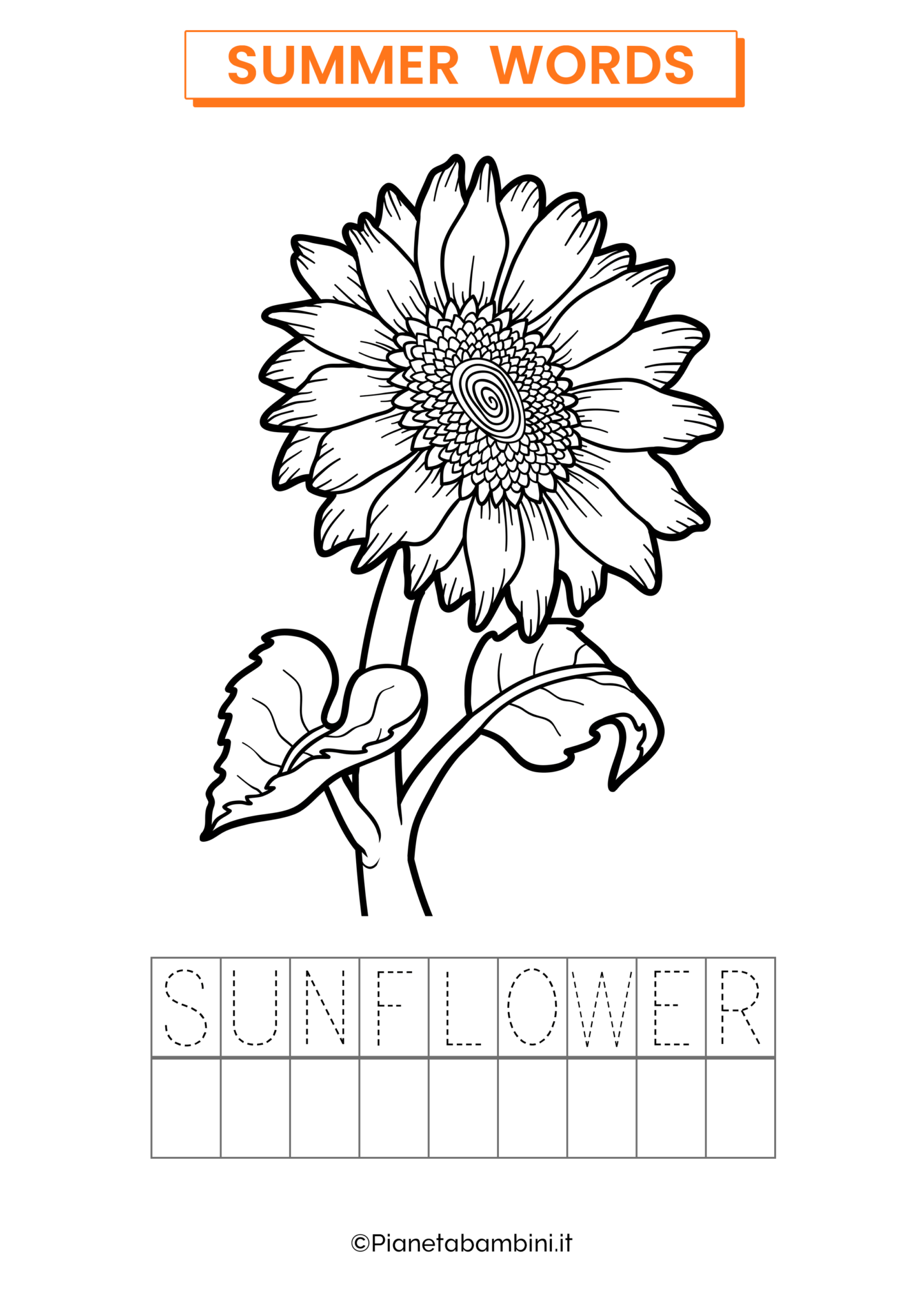 Schede sulle Parole dell'Estate in Inglese (Summer Words ...