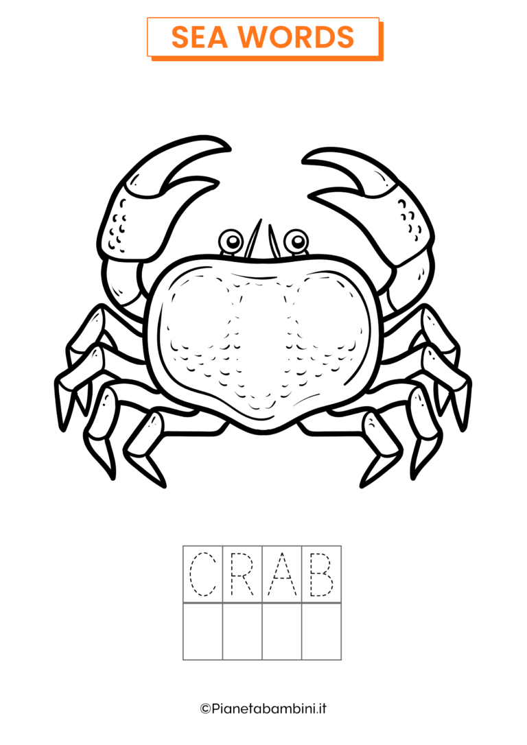 Schede sulle Parole dell'Estate in Inglese (Summer Words ...