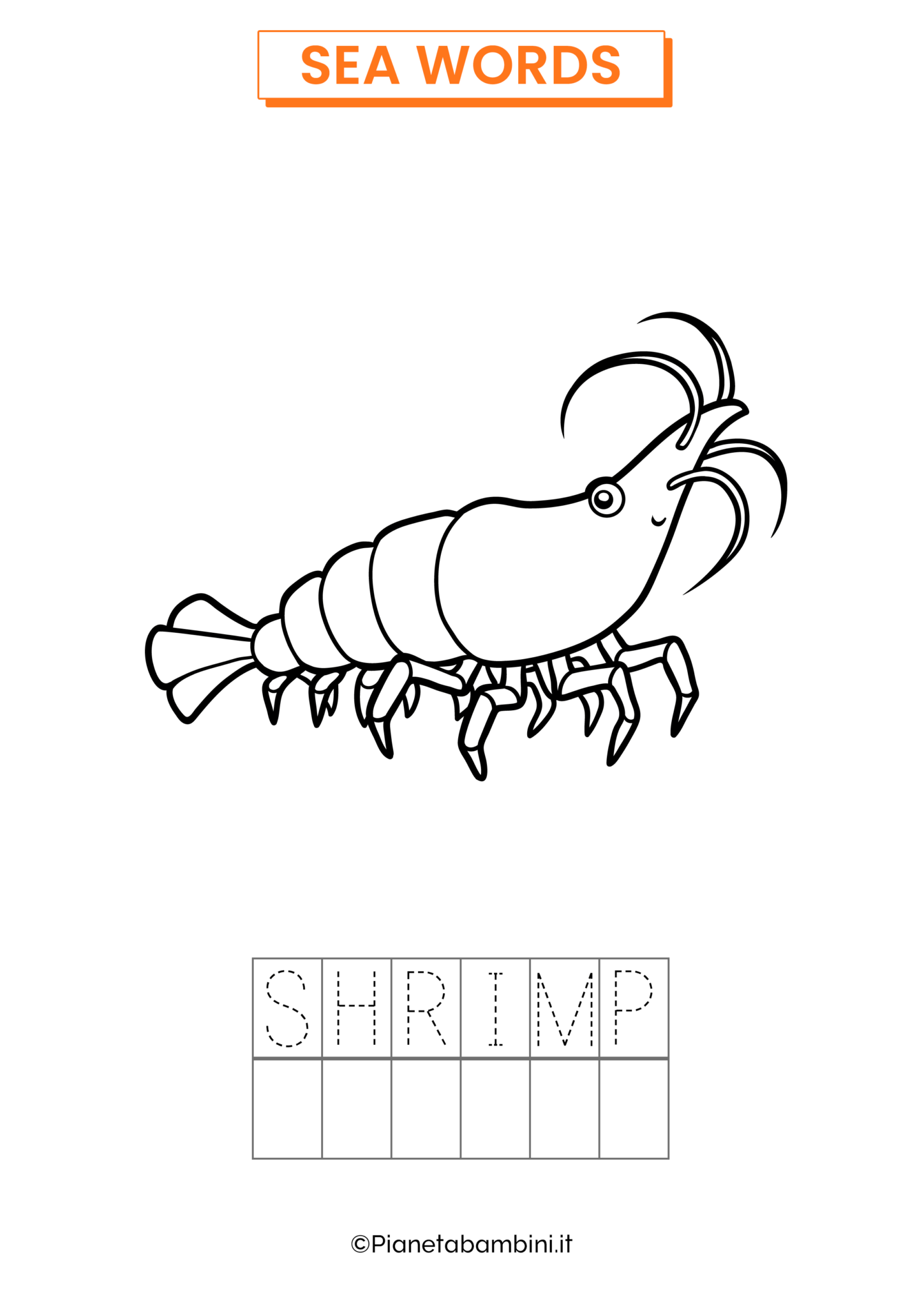 Schede sulle Parole dell'Estate in Inglese (Summer Words ...