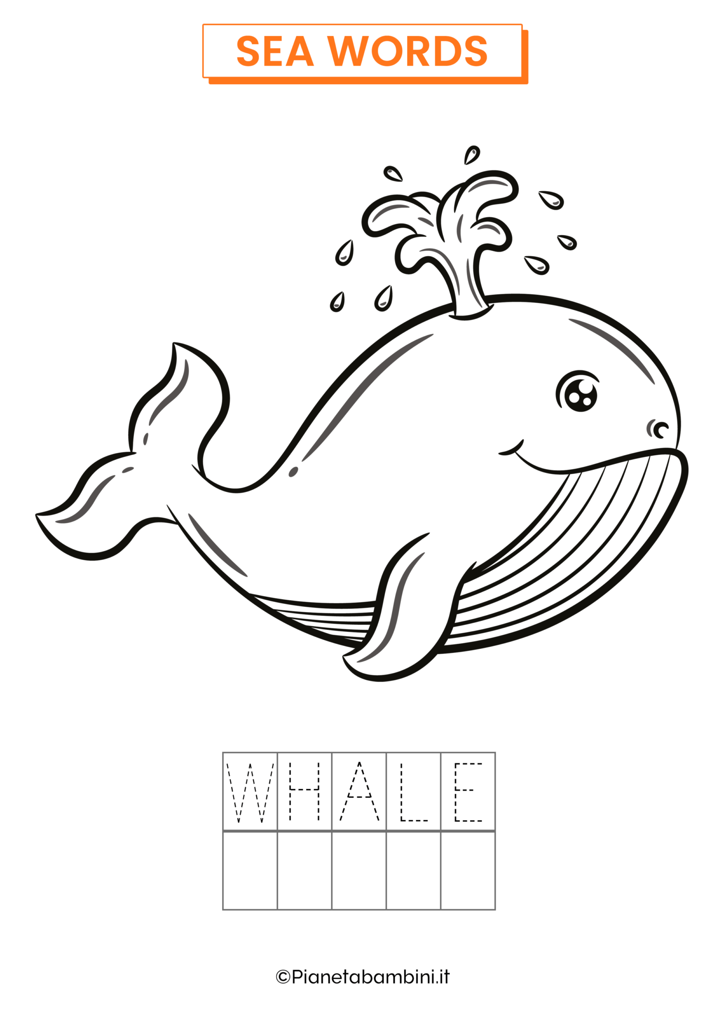 Schede sulle Parole dell'Estate in Inglese (Summer Words ...