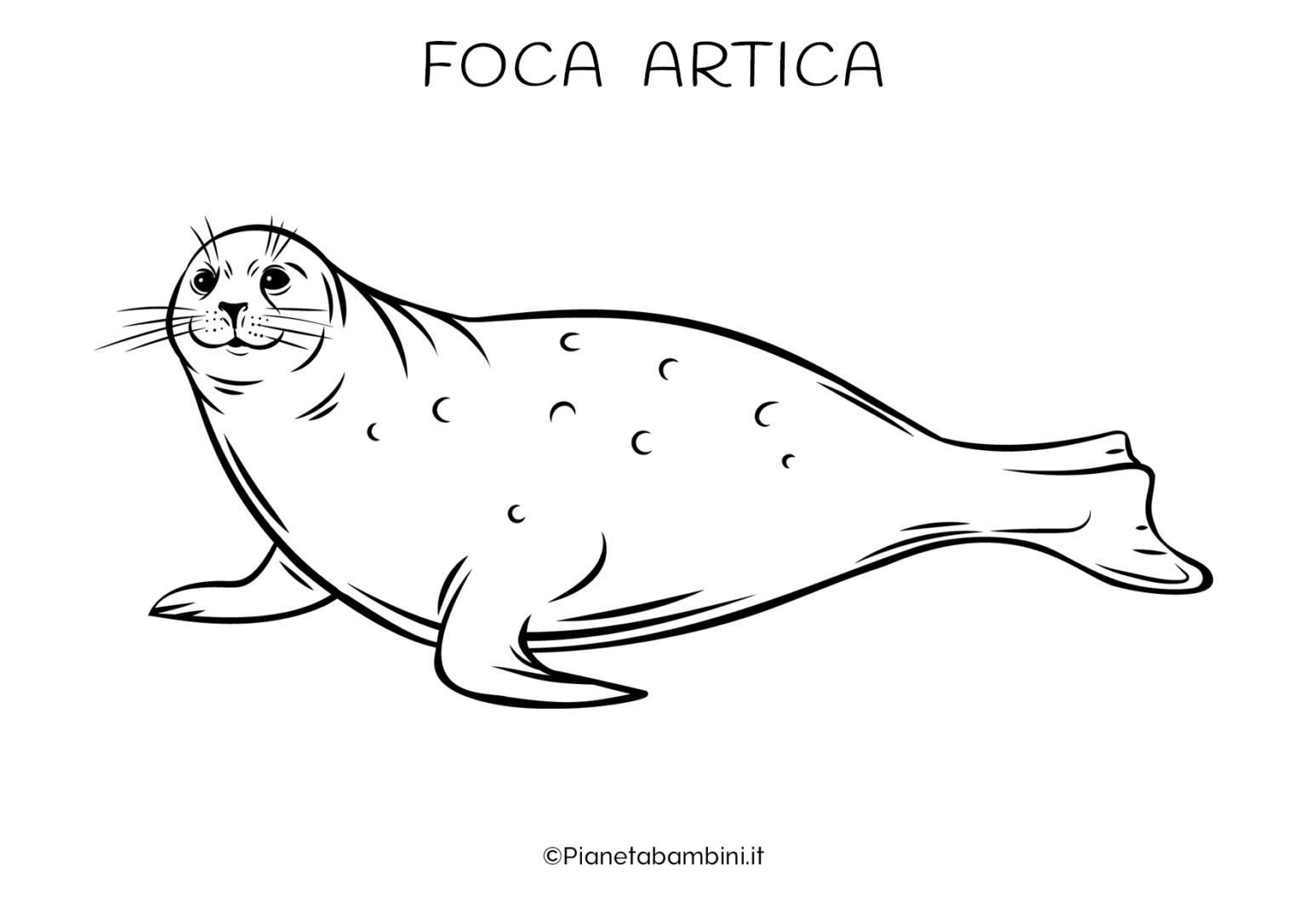 Animali del Polo Nord da Colorare | PianetaBambini.it