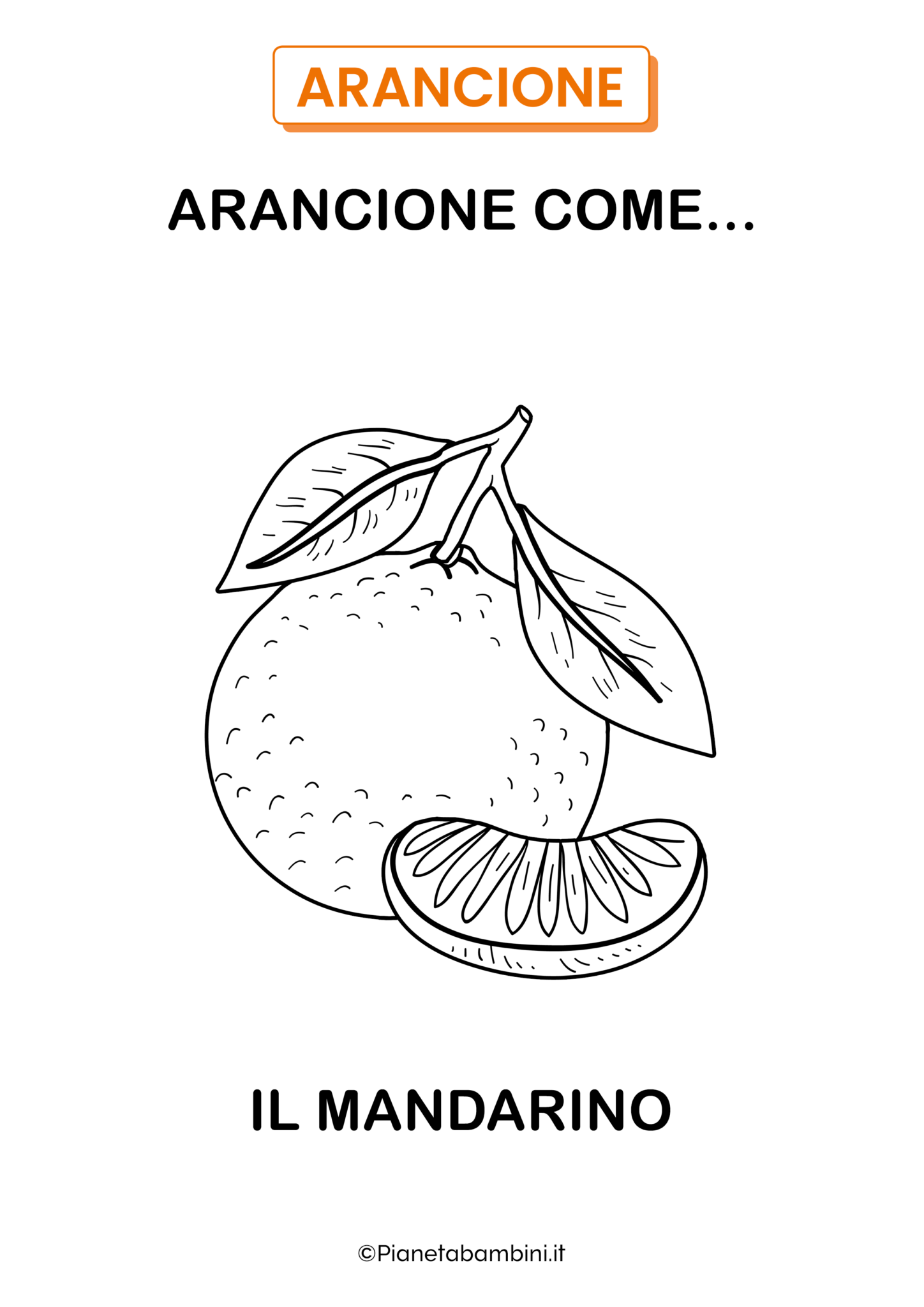 Schede Didattiche sul Colore Arancione | PianetaBambini.it